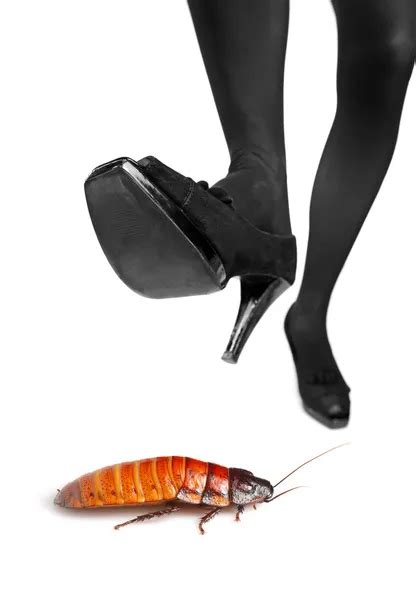 Heel Crush Bug