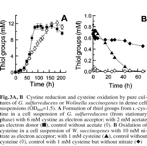 A B Acetate Oxidation In Washed Dense Cell Suspensions Od 660 15