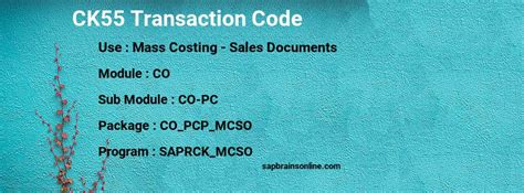 CK SAP Tcode For Mass Costing Sales Documents