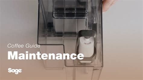 tutorials how to replace the water filter the oracle™ touch sage