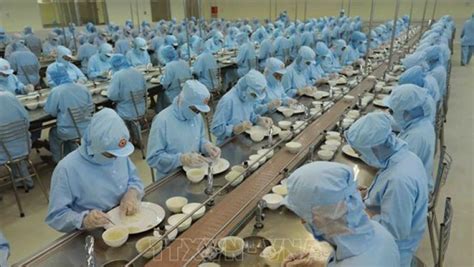 Vietnamese Enterprises Increase Investment To Seize Birds Nest Export Opportunities