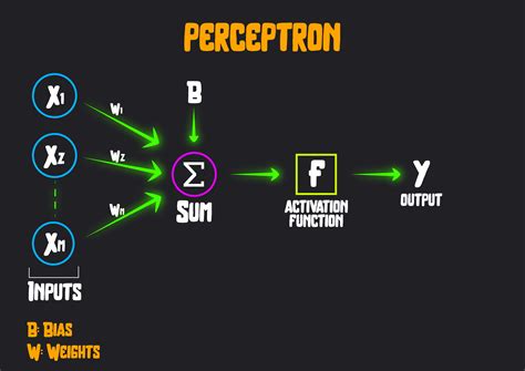 What Is A Perceptron And How Does It Work