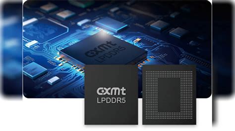 中 D램 제조사 Cxmt 지난해 점유율 5 기록