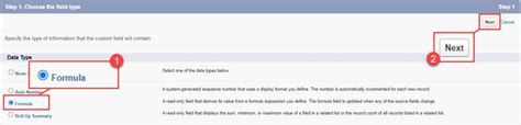 Substitute Function In Salesforce Replace Values In Salesforce