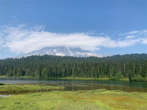 줌줌 후기 [영어가이드] 시애틀 출발 마운트 레이니어 일일투어 태린