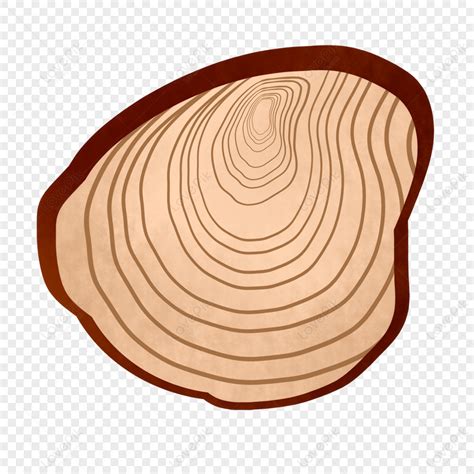 Irregularly Shaped Tree Trunk Cross Section Tree Shapes Trees Tree Tree Clipart Material Png