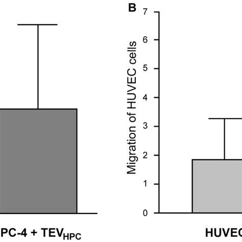 migration of hpc 4 a and huvec b cells to tev hpc 30 μg ml