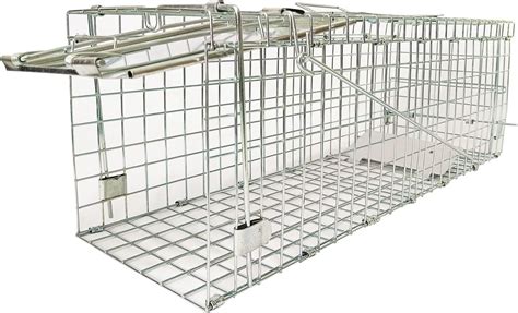 Amazon.com : Collapsible Humane Live Animal Cage Trap No-Kill Trapping ...