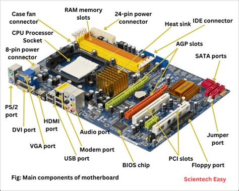 Components Of Computer System And Its Function Scientech Easy