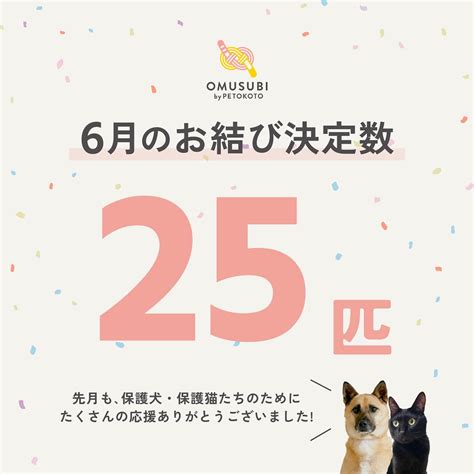 Omusubi By Petokoto【公式】 Omusubipet01 Posts X