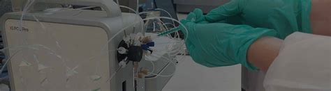 Rapid Detection Of Pathogens In Food Using Biosensors