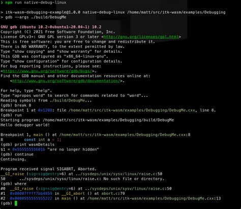 Debugging Webassembly Itk Wasm Documentation