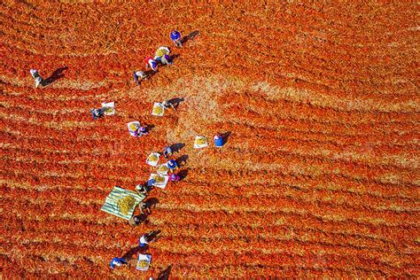 中国吃辣地图：哪个省是你心中的吃辣天花板？ 一兜糖 家的主理人社区