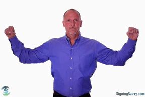 ASL 2 Unit 12 Flashcards Quizlet