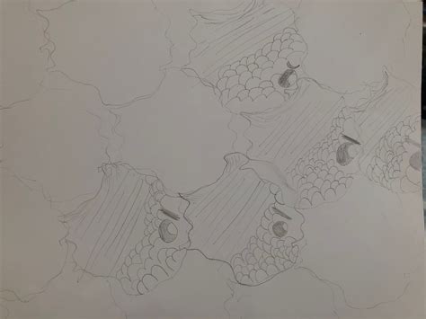 Tessellation Creation Fascination Small Online Class For Ages Outbabe