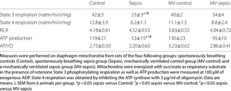 Mitochondrial Oxygen Consumption And Atp Synthesis Download Scientific Diagram