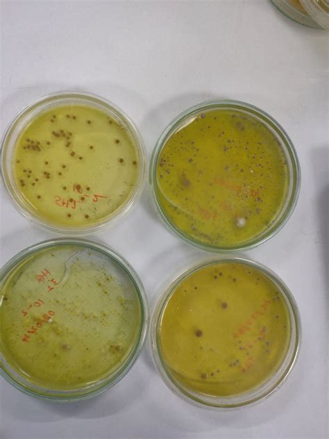 Sharjana Akter On Linkedin Happy Streaking