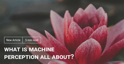 Machine Perception As The Ability And The Ultimate Goal In Ai Label