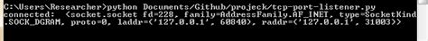 Sockets Python Trying To Read Data From Tcp Ip Port On Windows But Assignment Is Wrong