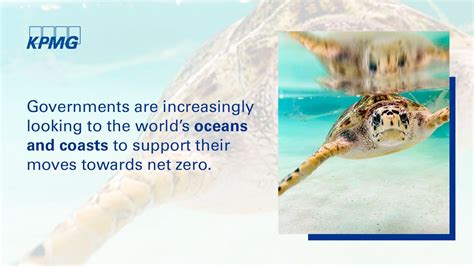 Netzero Readiness Report 2023 By Kpmg Kpmg India Posted On The Topic