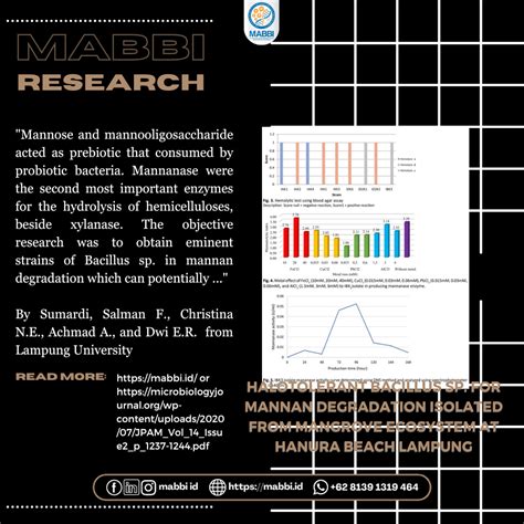 Halotolerant Bacillus Sp For Mannan Degradation Isolated From Mangrove Ecosystem At Hanura