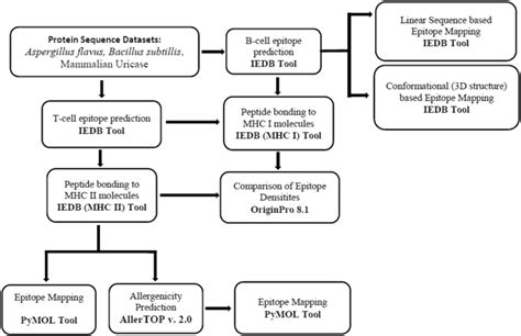 Overview Of The Methods Of Analysis Used In Research Download Scientific Diagram