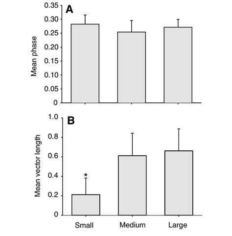 Mean Phase And Mean Vector Length Of Small Medium And Large Spikes