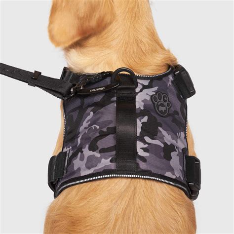 Complete Control Dog Harness For Pullers Canada Pooch