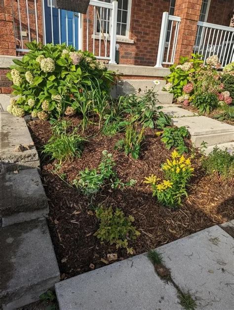 Homeowners Before And After Lawn Transformation Photos Reveal