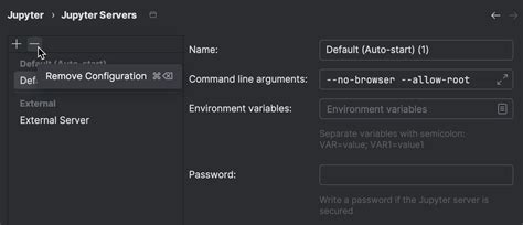 管理 Jupyter Notebook 服务器 Intellij Idea 文档