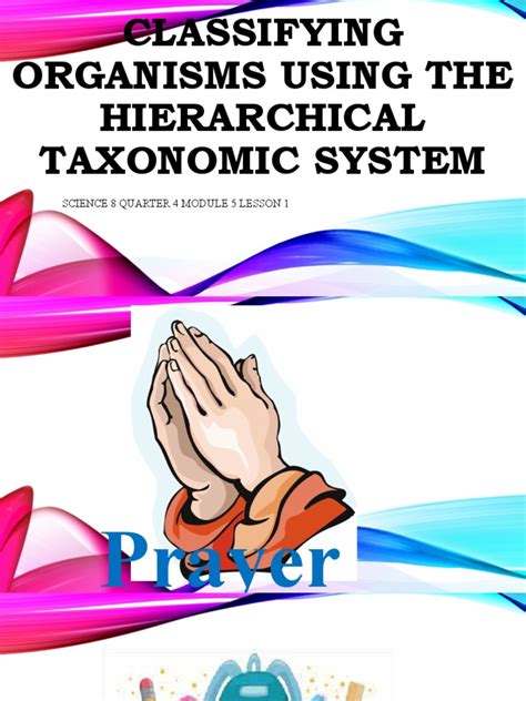 Classifying Organisms Using The Heirarchial Taxonomy Classification