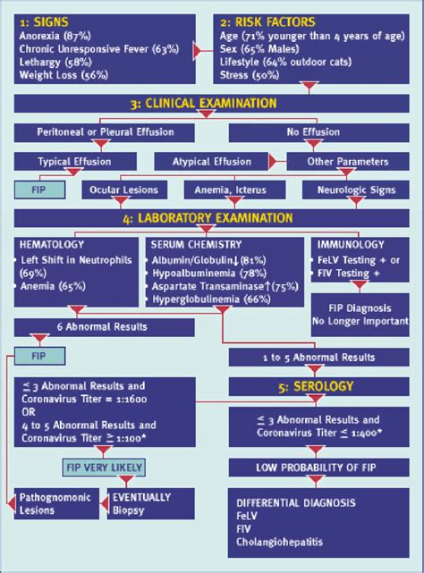 Algorithm Used To Facilitate The Diagnosis Of Fip In The Absence Of