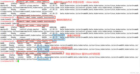【kubernetes】关于k8s集群如何将pod调度到指定node节点？ pod指定node csdn博客