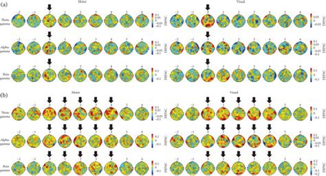 Grand Average Topographic Maps Of Phase Amplitude Coupling Plots Show Download Scientific