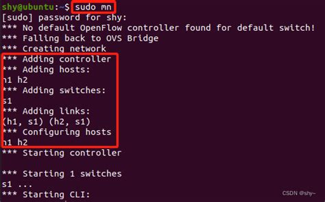 ubuntu20 04中搭建sdn环境（超详细） sdn环境搭建 csdn博客