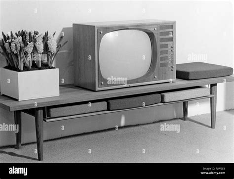 The Tv Set