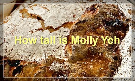 Everything You Need To Know About Molly Yeh Food Readme