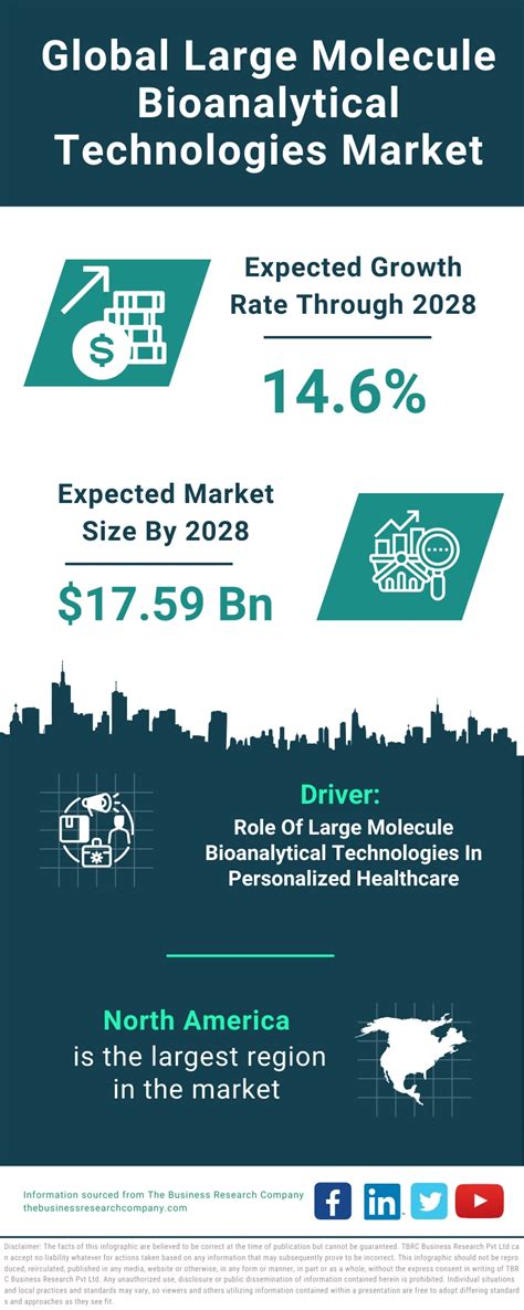 Large Molecule Bioanalytical Technologies Market 2024 Growth And Future