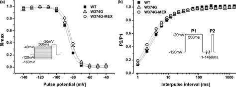 Steady‐state Inactivation And Recovery From Inactivation Of Wt‐ina Download Scientific Diagram