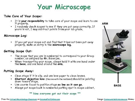 How To Use A Compound Microscope Basic Microscopy