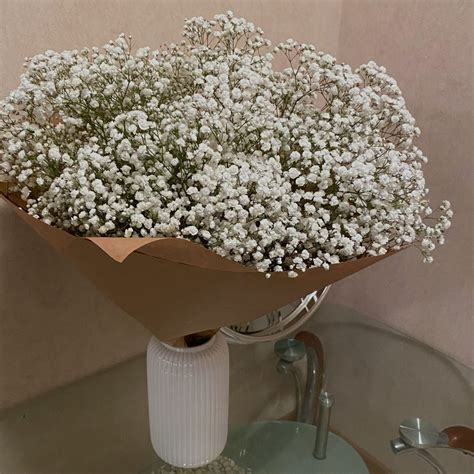 гипсофила в 2025 г Композиции цветников Букеты фотографии Цветник