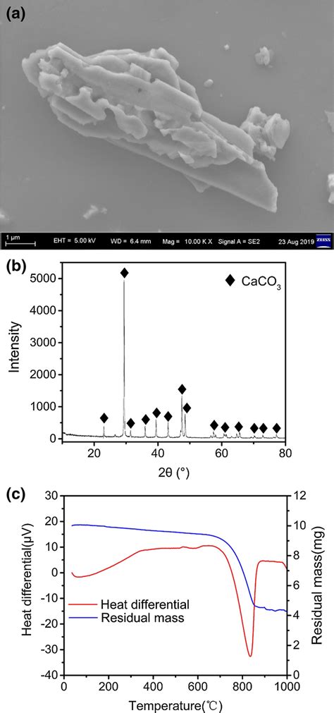A Sem Image B Xrd Pattern And C Tg Curve Blue And Dta Curve Red Download Scientific