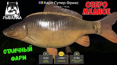 ФАРМ НА МЕДНОМ В РУССКОЙ РЫБАЛКЕ 4 СТРИМ РОЗЫГРЫШИ РР4 Youtube