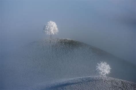 Bernd Nowack Fotos And Bilder Fotograf Aus Gattikon Zh Und Samedan Gr Schweiz Fotocommunity
