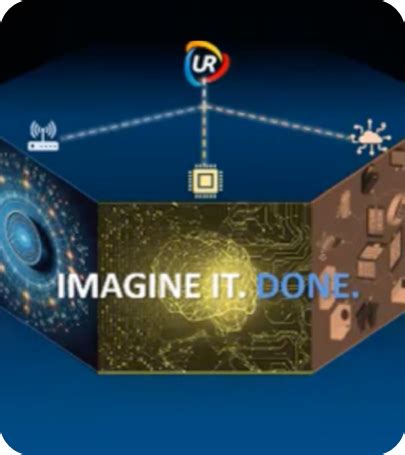 Instance Segmentation Showcase