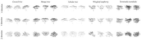 Classification Of Tree Species Based On Point Cloud Projection Images With Depth Information