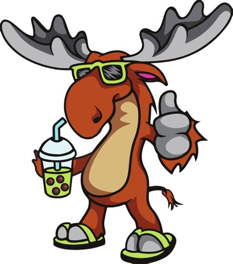 nouman qamar s images canva