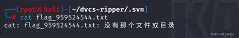 Svn泄露(ctfhub)svn代码泄漏 Csdn博客 Svn泄露(ctfhub)svn代码泄漏 Csdn博客
