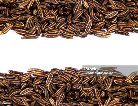 말린 유기농 캐라웨이 씨앗의 매크로 샷 복사 공간이있는 흰색 배경에 격리 된 캐어웨이 씨앗 내츄럴 한 조미료 감촉 닫아 개체