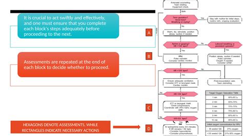 Essentials Of Neonatal Resuscitation Nrp Algorithm Pptx
